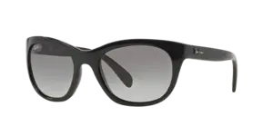 Ray-ban Sunglasses - Grey Gradient