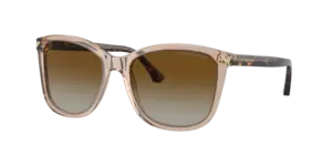 Emporio Armani Sunglasses - Gradient Brown Polar