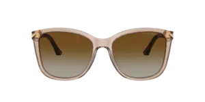 Emporio Armani Sunglasses - Gradient Brown Polar
