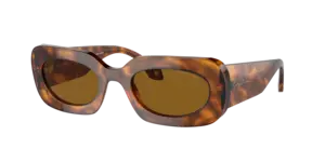 Giorgio Armani Sunglasses - Brown