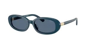 Polo Ralph Lauren Sunglass - Dark Blue