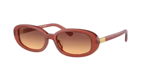 Polo Ralph Lauren Sunglass - Orange Gradient Violet
