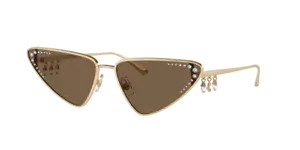 JIMMY CHOO Sunglasses - Dark Brown