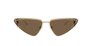 JIMMY CHOO Sunglasses - Dark Brown
