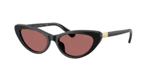 Polo Ralph Lauren Cat Eye Sunglasses - Dark Violet