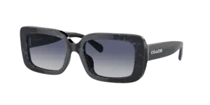 COACH Signature Sunglasses - Blue Gradient