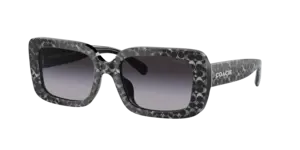 COACH HC8380U CL922 Sunglasses Grey Gradient