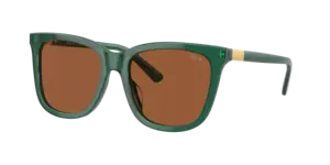 Polo Ralph Lauren Sunglasses - Brown