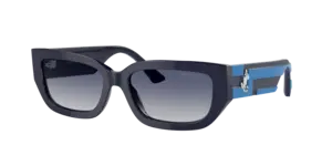 JIMMY CHOO Sunglasses