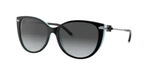 Tiffany & Co. Sunglasses Polar Grey Gradient