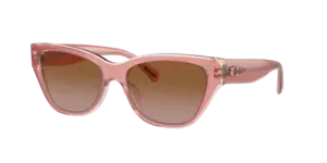 COACH Coach Sunglasses Brown Gradient