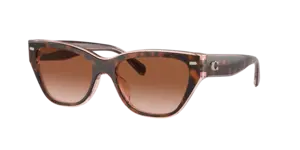COACH Coach Sunglasses Brown Pink Gradient
