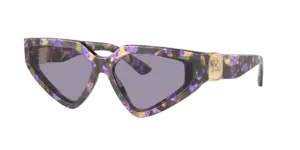 Dolce & Gabbana Purple Accessories