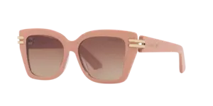 Dior Cdior S1i Sunglasses - Brown