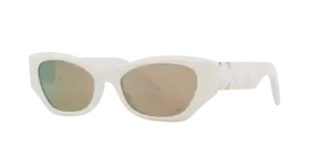 Dior Lady 95 Sunglasses - Brown