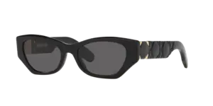 Dior Lady 95 Sunglasses - Grey