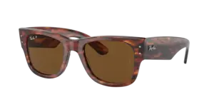 Ray-ban Wayfarer Sunglasses Brown