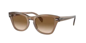 Ray-ban Ray-Ban Unisex Sunglasses Brown