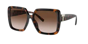Tiffany & Co. Tiffany & Co. Sunglasses Brown Gradient