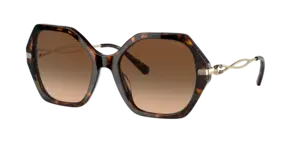 COACH Sunglasses - Brown Gradient