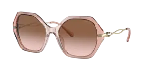 COACH Sunglasses Brown Rose Gradient