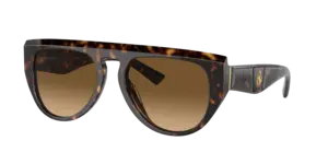 FERRARI Sunglasses - Polarized Brown Gradient