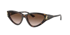 JIMMY CHOO Sunglasses - Gradient Brown