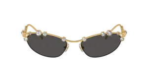 SWAROVSKI Sk7016 Sunglasses