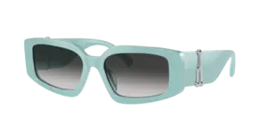 Tiffany & Co. Sunglasses Grey Gradient
