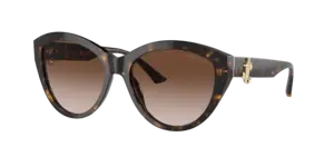 JIMMY CHOO Jimmy Choo JC5007F Sunglasses Gradient Brown