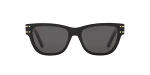 Dior Diorsignature S6u Sunglasses - Grey