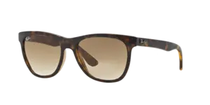 Ray-ban Ray-Ban Sunglass Crystal Brown