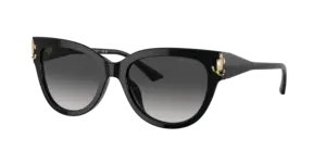 JIMMY CHOO Jimmy Choo Sunglasses Dark Grey
