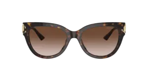 JIMMY CHOO Sunglasses - Gradient Brown