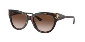 JIMMY CHOO Sunglasses - Gradient Brown