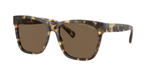 Ralph Lauren Sunglasses - Brown