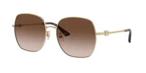 JIMMY CHOO Sunglasses - Gradient Brown