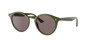 Ray-ban RAY-BAN Round Frame Sunglasses Violet