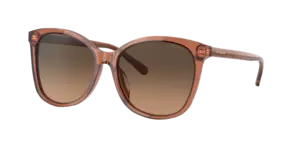 COACH Sunglasses Brown Gradient