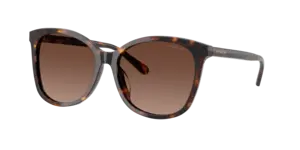 COACH Sunglasses Dark Brown Gradient Polarized