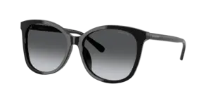 COACH Sunglasses Dark Grey Gradient Polarized