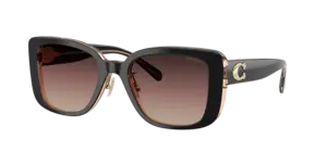 COACH Coach Sunglasses Brown Purple Gradient