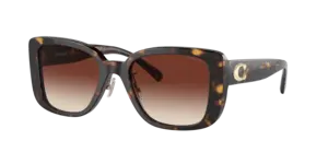 COACH Sunglasses - Dark Brown Gradient