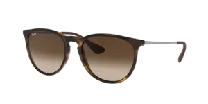 Ray-ban Erika Classic Sunglasses - Brown Gradient