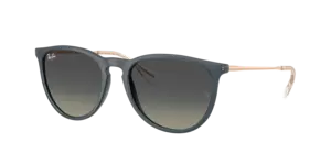 Ray-ban Erika Classic Sunglasses Gradient Grey