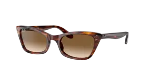 Ray-ban Ray-Ban Lady Burbank Sunglasses Clear,brown