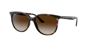 Ray-ban Sunglasses - Gradient Brown