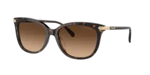 COACH Coach Cat Eye Sunglasses Brown Gradient