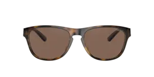 Polo Ralph Lauren Sunglasses - Brown