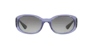 SUNGLASS HUT COLLECTION Sunglasses